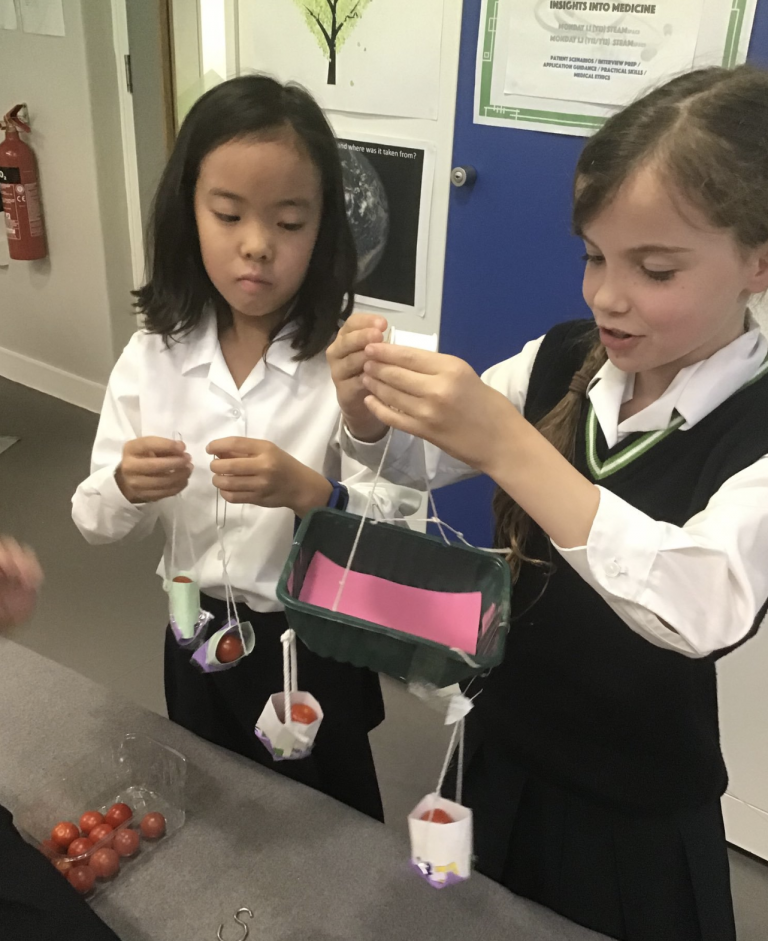 Year 4 Squashed Tomato Challenge